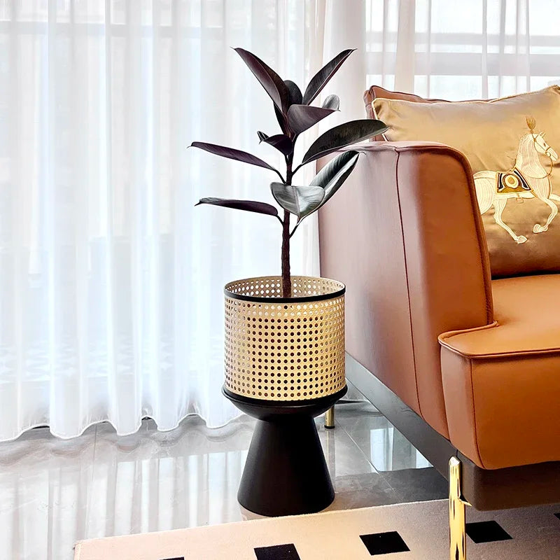 Modern Indoor Potted Rubber Plant With Decorative Planter on Luulla