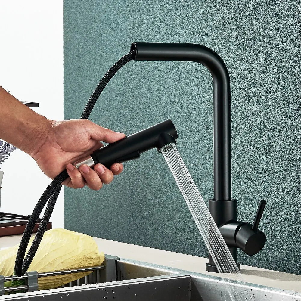 Modern Black Pull-out Kitchen Sink Faucet on Luulla